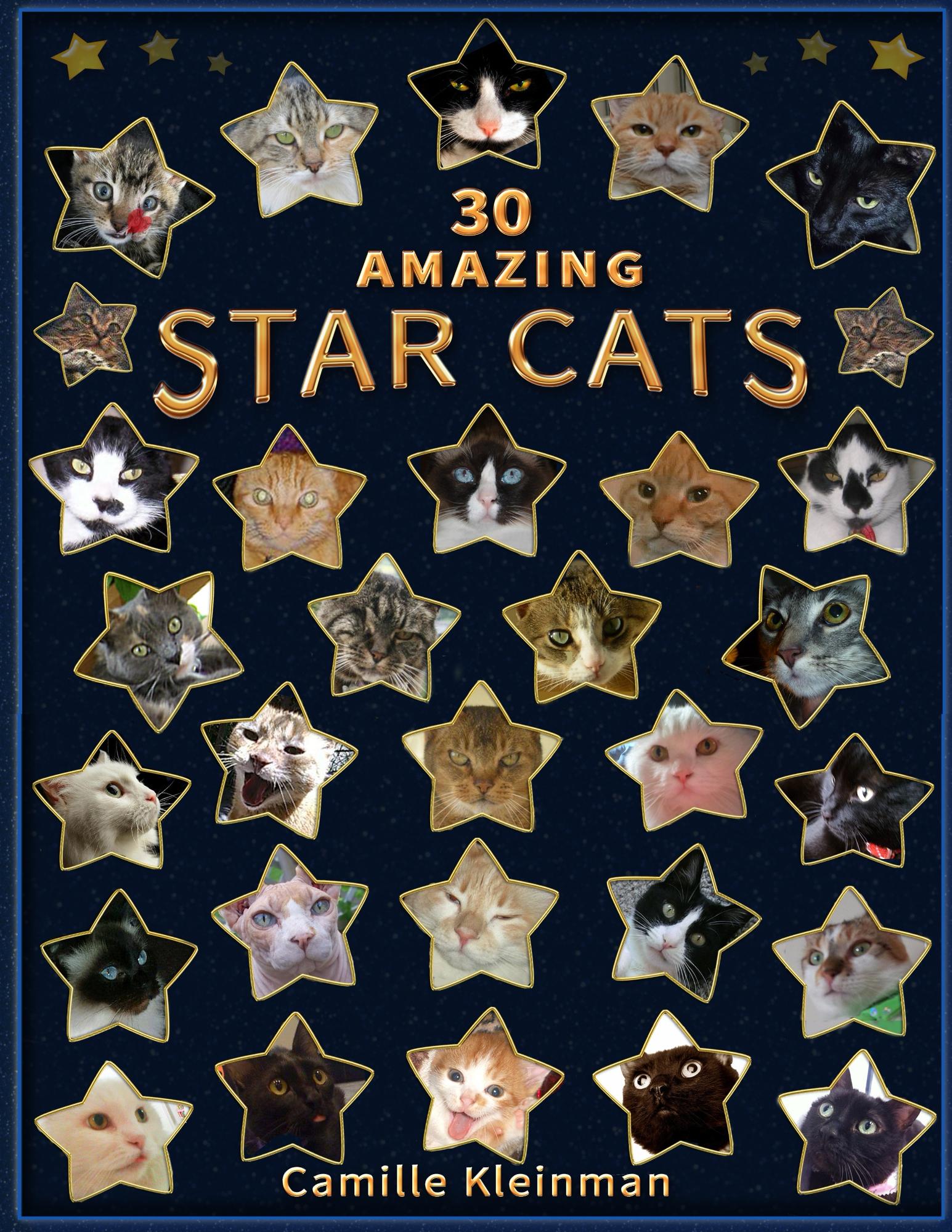 ’30 Amazing Star Cats: Poems About Very Special Cats’ Won the CatClub ...